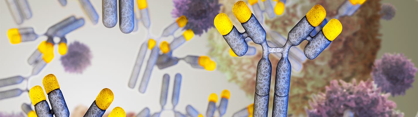 Application Note: A Rapid Method to Quantitatively Screen Bispecific ...