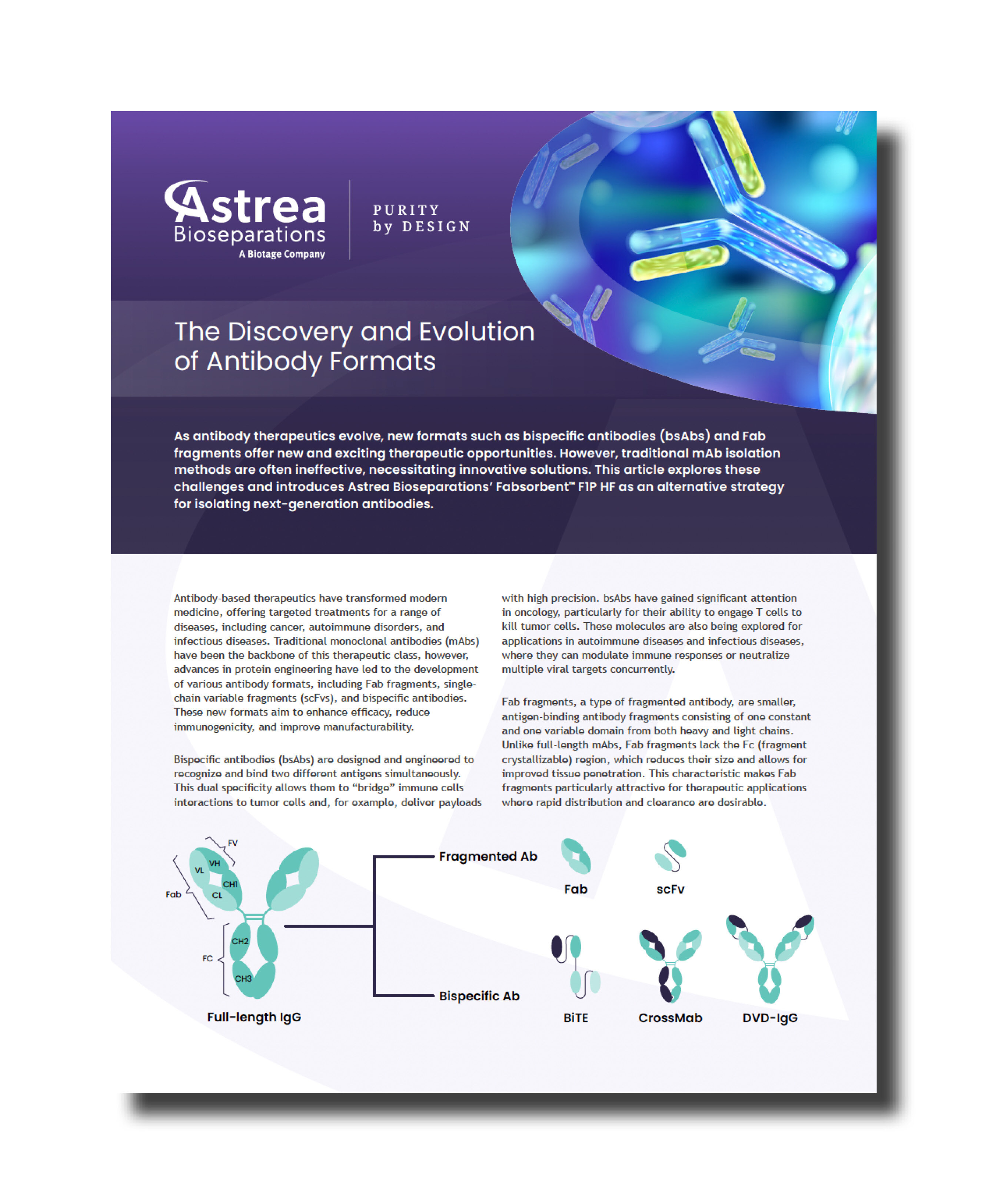 Digital Article: The Discovery and Evolution of Antibody Formats